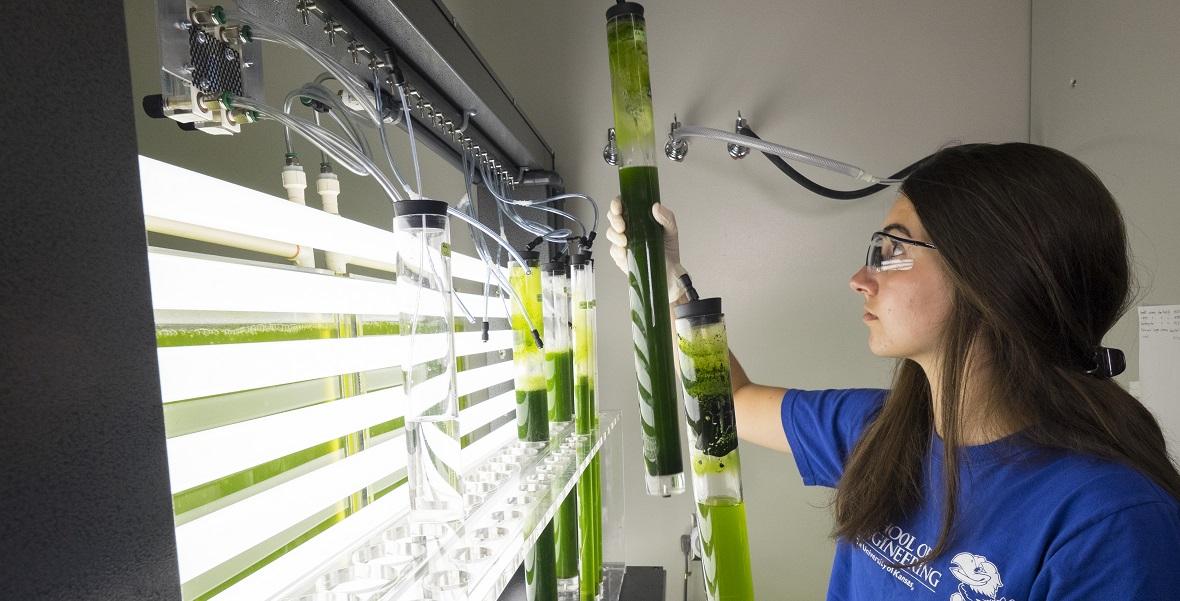 KU Engineering Graduate School | School of Engineering