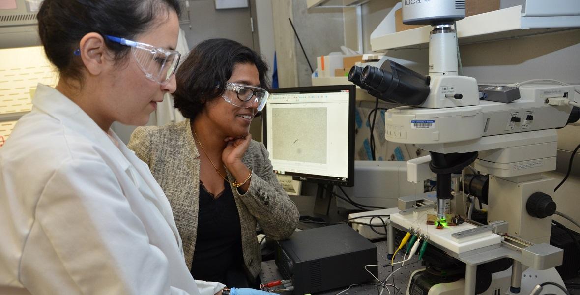 KU Engineering Graduate School | School of Engineering